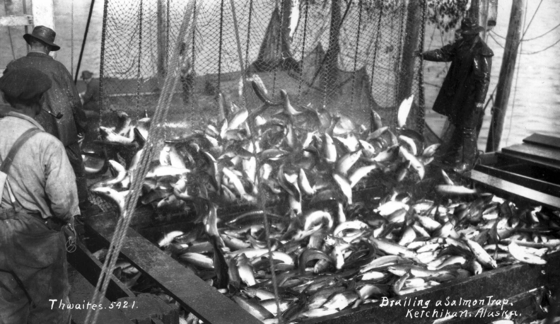 Southeast Alaska : SASAP : State of Alaska Salmon and People