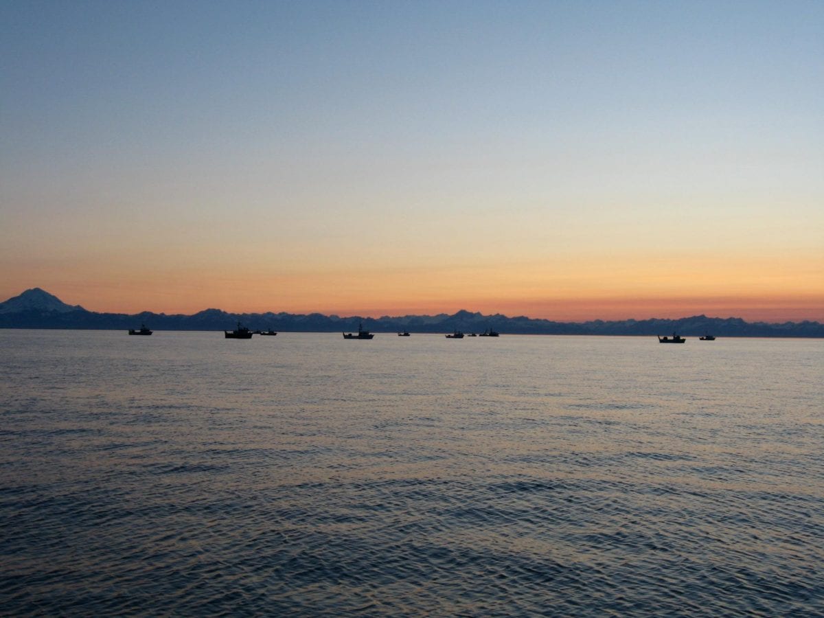 Cook Inlet : SASAP : State of Alaska Salmon and People