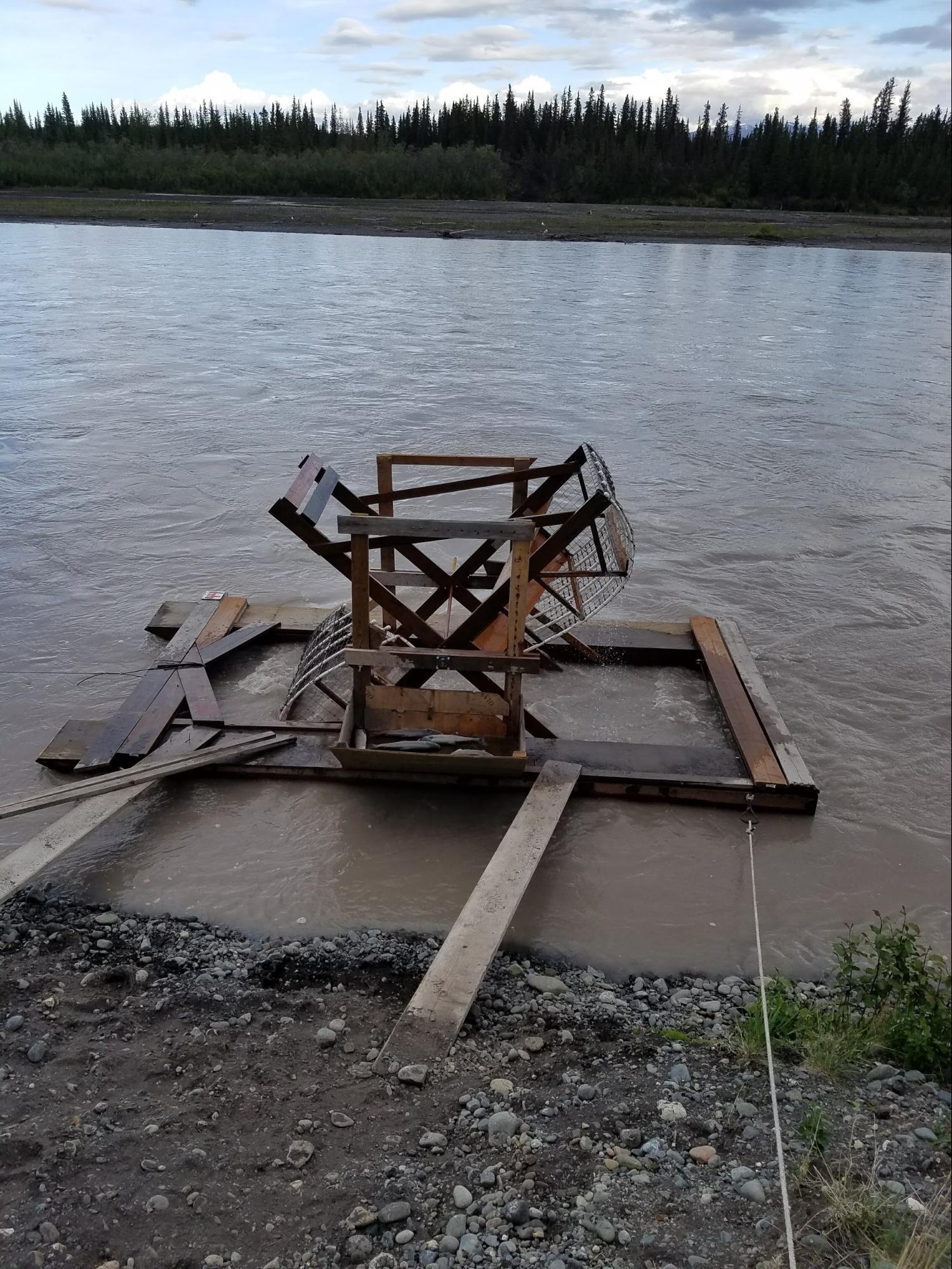 Copper River : SASAP : State of Alaska Salmon and People