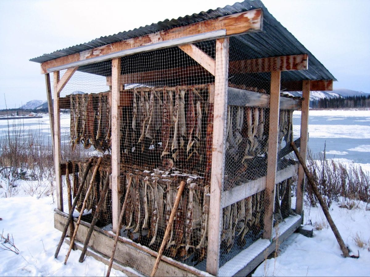 Well-being and salmon systems : SASAP : State of Alaska Salmon and People