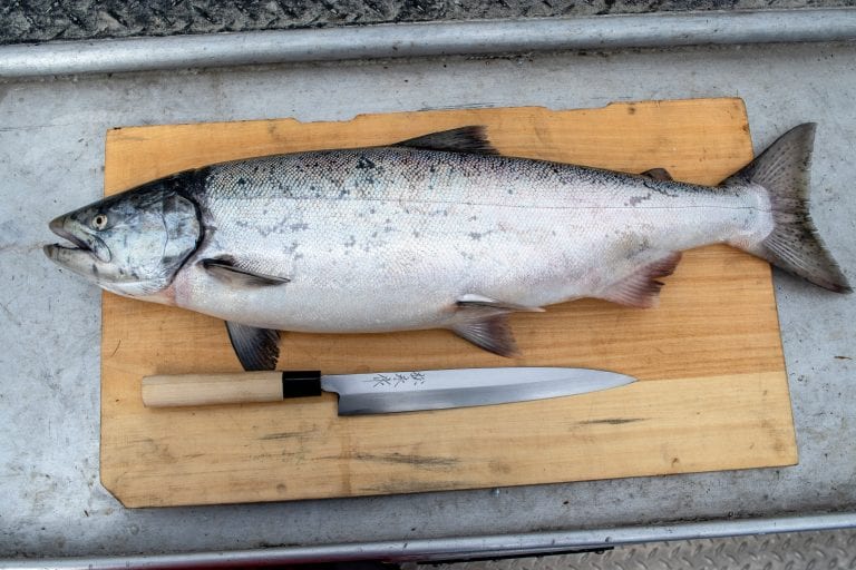 Press Kit : SASAP : State of Alaska Salmon and People