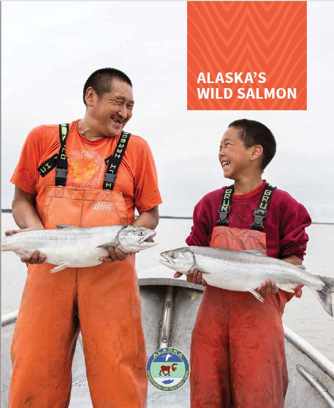 About : SASAP : State of Alaska Salmon and People